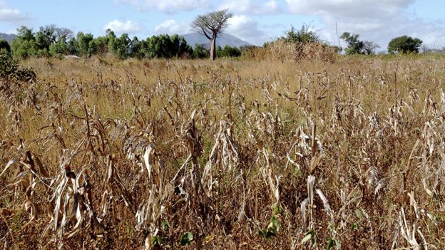 Famine: What does famine mean and how do countries help to deal with it ...