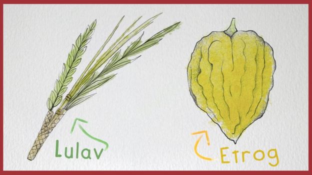 Sukkot: What is it and how do people celebrate the Jewish harvest ...