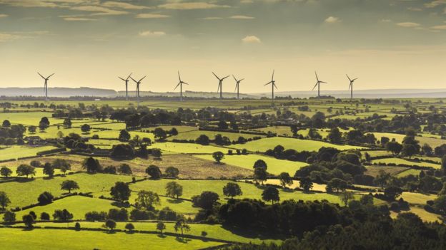 Climate change: UK government 'like Dad's Army' - BBC News