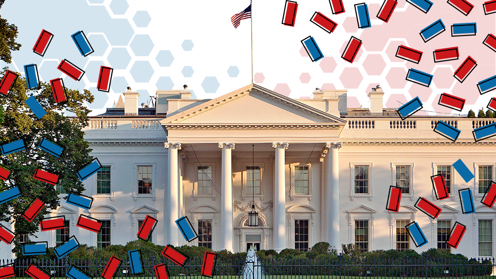 US election 2024: A really simple guide - BBC News