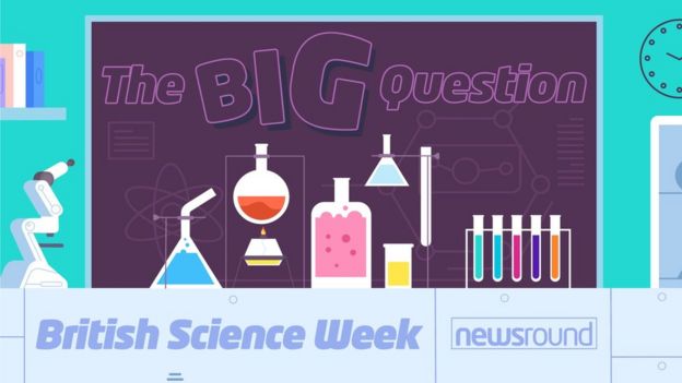 The Big Question: Send us your questions for British Science Week! - BBC Newsround