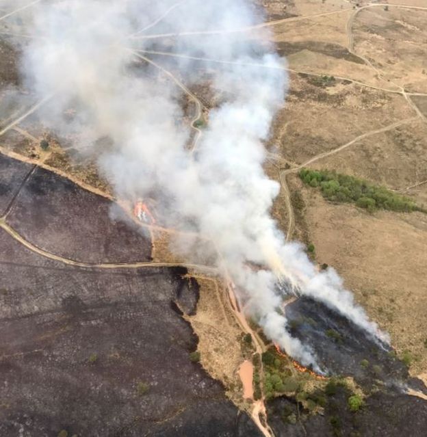 Firefighters injured in country blaze in Devon - BBC News