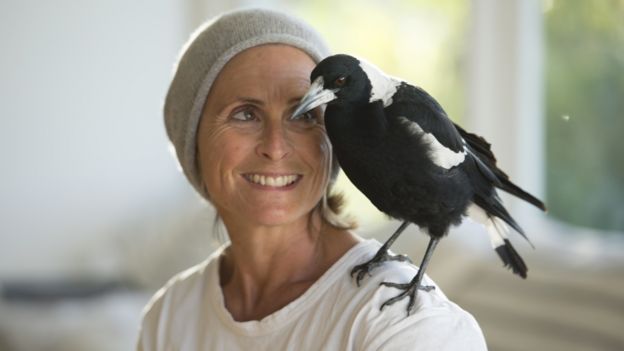 In pictures: The family and the magpie who rescued each other - BBC News