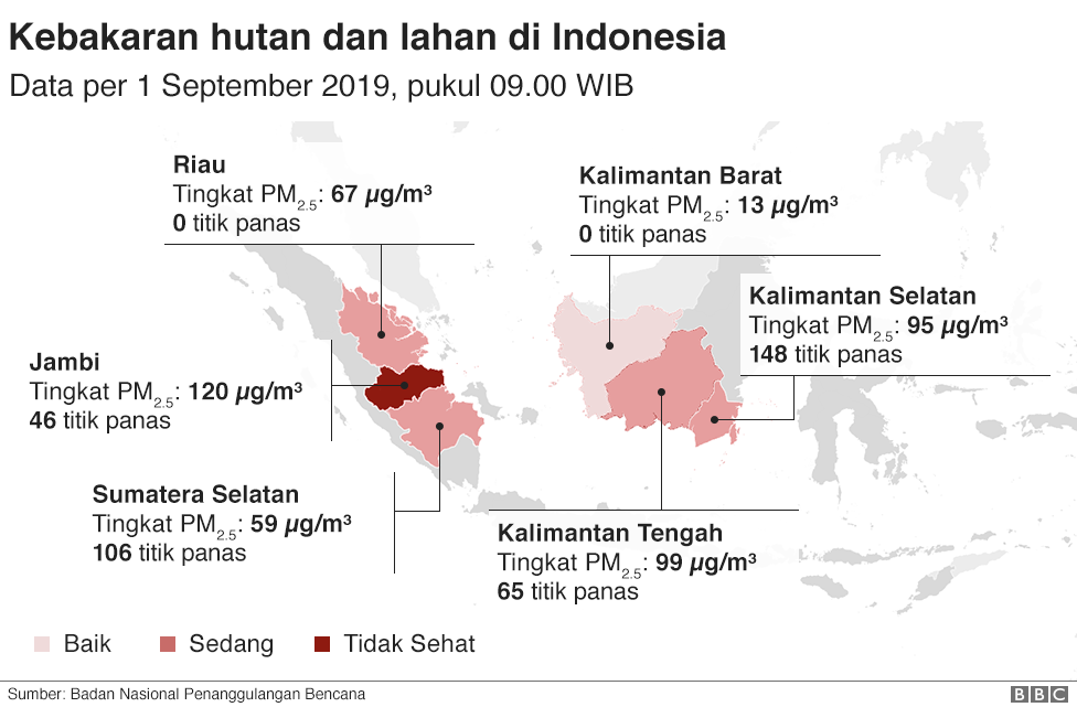 Kebakaran hutan: Titik panas berkurang drastis, tapi pemerintah harus tetap waspadai karhutla ...