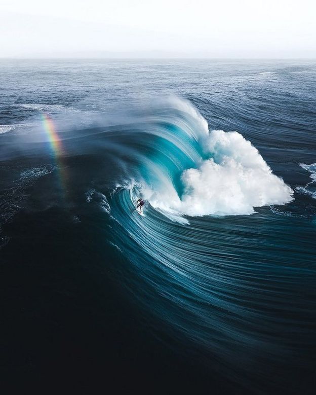 Ocean Photographer of the Year: Award winning photos - BBC Newsround