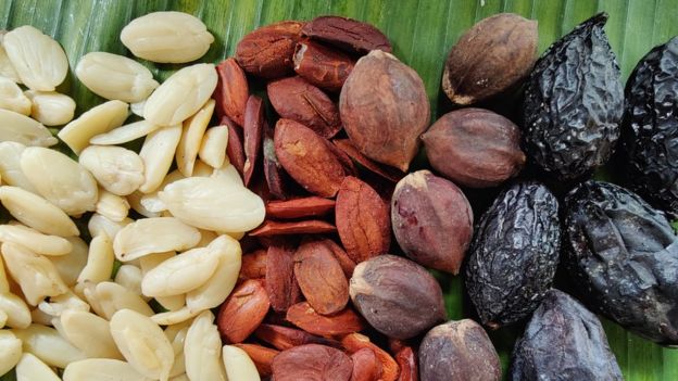 The little-known nut that may save at-risk rainforests - BBC News
