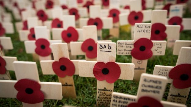 Remembrance Sunday 2018: Poppy displays in pictures - BBC News