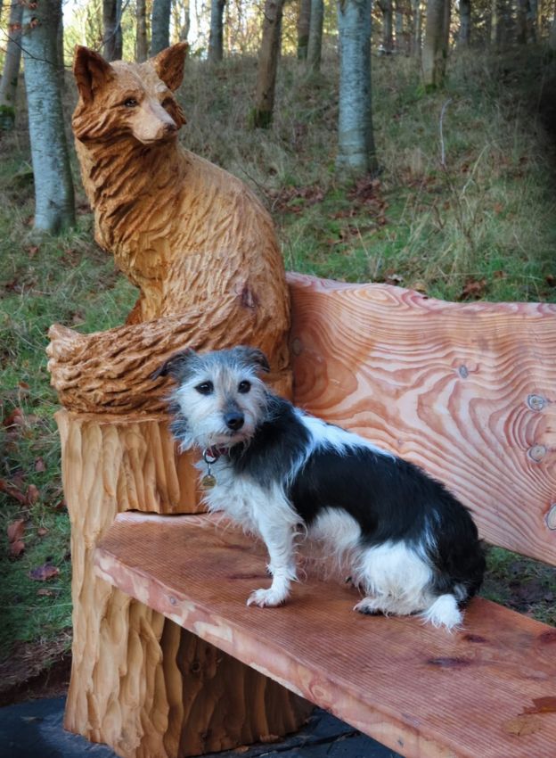 Your pictures of Scotland: 9-16 December - BBC News