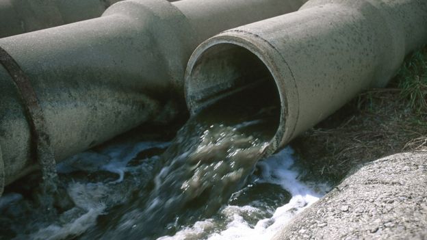 Water pollution: How clean are the UK's rivers and lakes? - BBC News