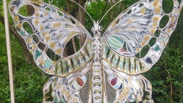 Kipepeo dume anayewazuzua vipepeo wa kike pwani ya Kenya - BBC News Swahili