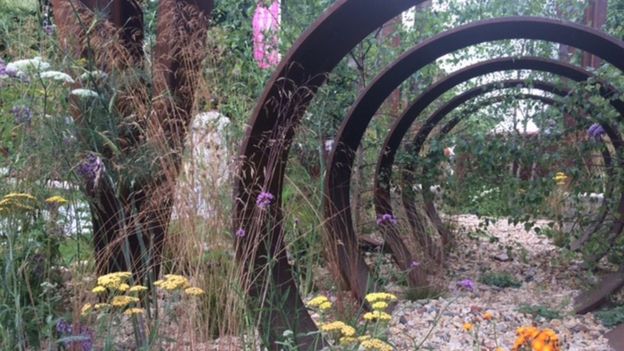 Bringing nature into your backyard - BBC News