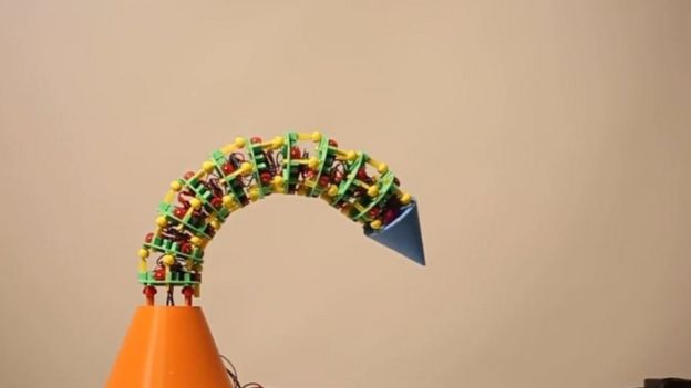 Elephants: Why their trunks are like vacuum cleaners - BBC Newsround