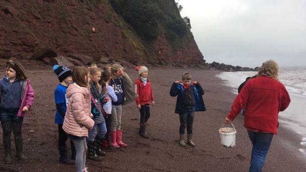 Shoreline lessons - how beach trips boost learning - BBC News