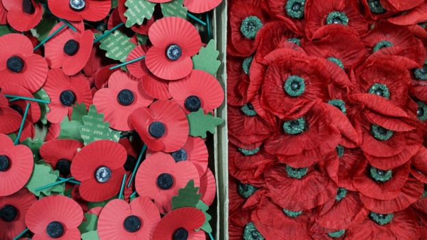 Remembrance Sunday 2018: Poppy displays in pictures - BBC News