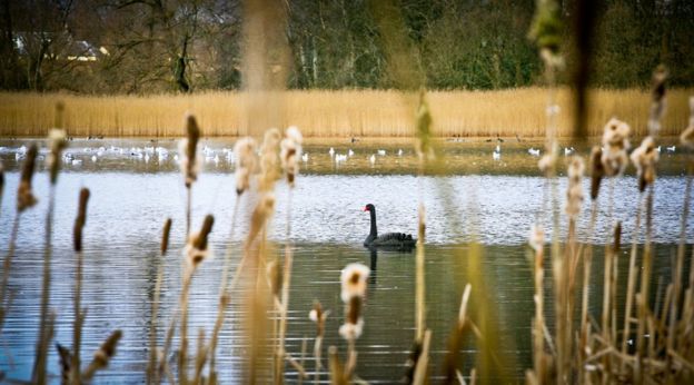 Your pictures of Scotland: 3-10 March - BBC News
