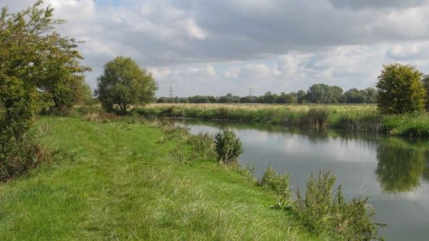 Bid to create River Thames nature reserve in Oxfordshire - BBC News