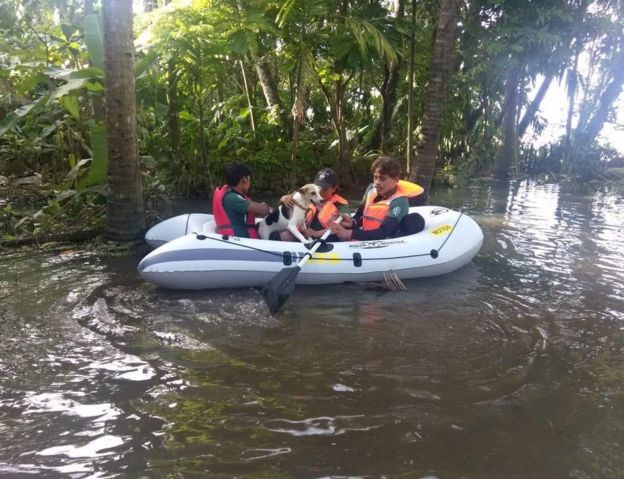 India's 'biggest' pet rescue operation in Kerala floods - BBC News