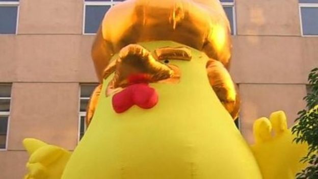 Trump-like chicken at White House ruffles feathers on Twitter - BBC News