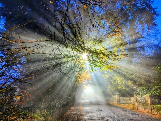 Your pictures of Scotland: 3 November - 10 November - BBC News