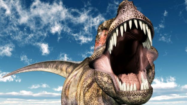 Study casts doubt on the idea of 'big fluffy T. rex' - BBC News