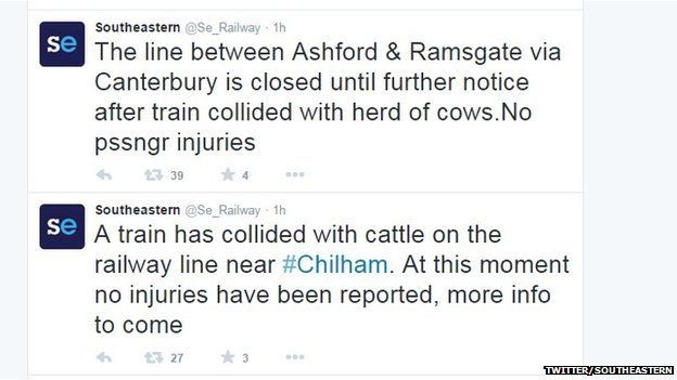 Kent train derailed after hitting herd of cows - BBC News