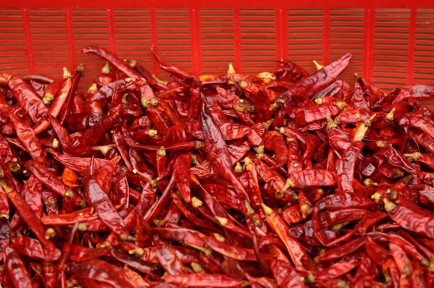 Your pictures on the theme of 'well-seasoned' - BBC News