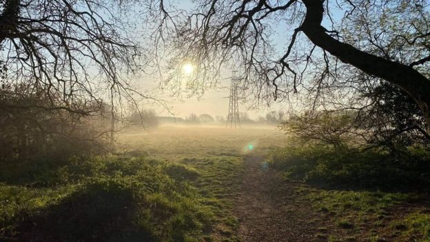 Council urged to take Middlewick Ranges out of Colchester local plan ...
