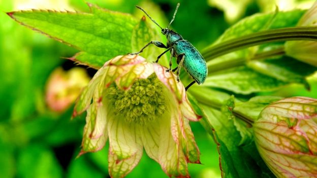 Your pictures of Scotland: 21 - 28 June - BBC News