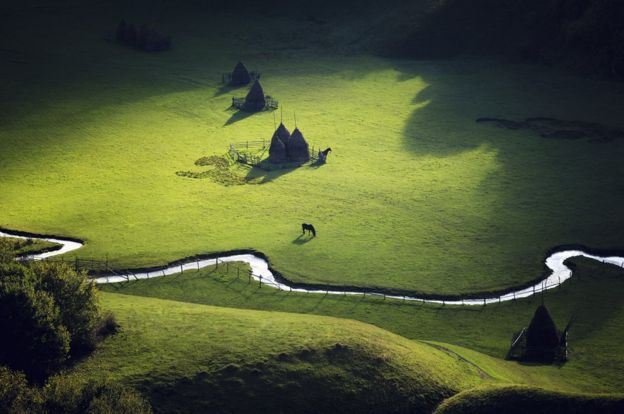 The first round of National Geographic competition - BBC News