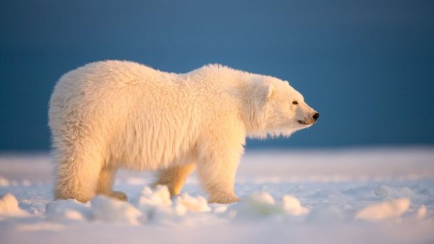 Climate change: 'Monumental' deal to cut HFCs, fastest growing ...