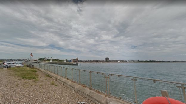 Littlehampton: Rescuer in hospital after following dog into sea - BBC News