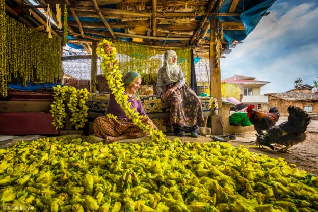 Family-meal image wins international food photo contest - BBC News