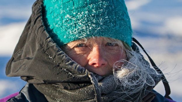 Bear photography takes great-grandmother round the world - BBC News