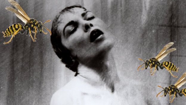 What to do if you're attacked by a swarm of wasps - BBC News