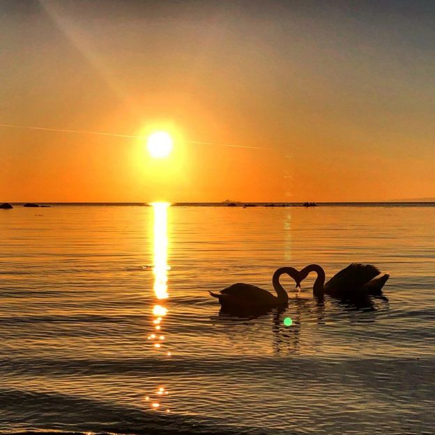 A year of your pictures of Scotland - BBC News
