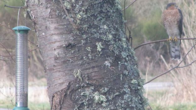 Your pictures of Scotland 25 March - 1 April - BBC News