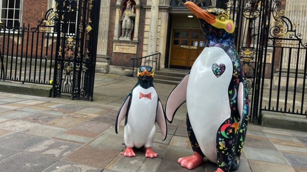 Penguin sculpture trail announced for Worcester - BBC News