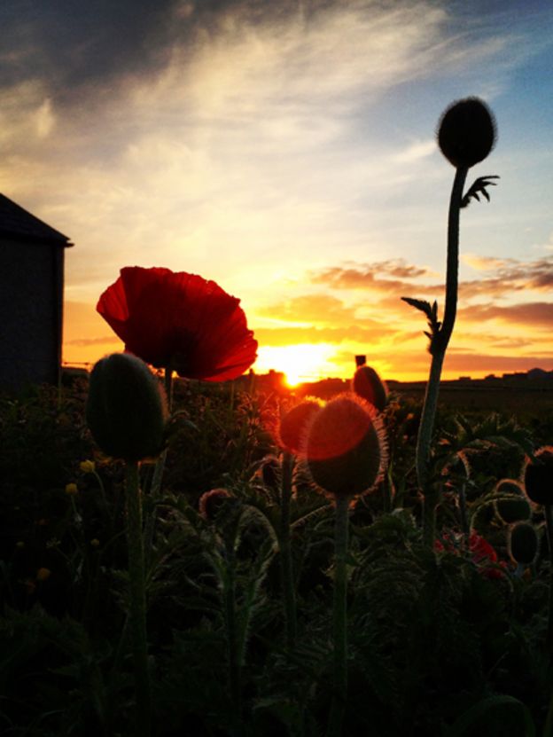 Your pictures of Scotland: 26 June - 3 July - BBC News
