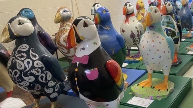 Last chance to see Guernsey's Puffin Parade - BBC News