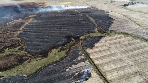 Huge Flow Country wildfire 'doubled Scotland's emissions' - BBC News