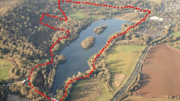 Trentham Estate to get beavers as enclosure approved - BBC News