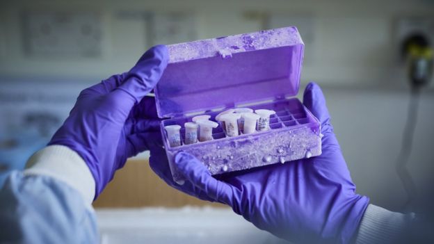 Huge plan to map the DNA of all life in British Isles - BBC News