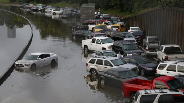 Fighting climate change in Texas with an eye on the bottom line - BBC News