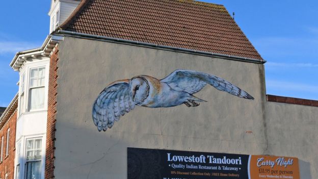 Lowestoft: Street artist ATM creates bird mural - BBC News