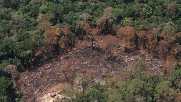 Climate change being fuelled by soil damage - report - BBC News