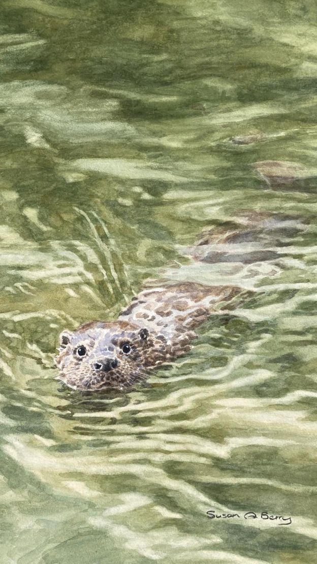 Art prize added to Gaelic's Royal National Mòd for first time - BBC News