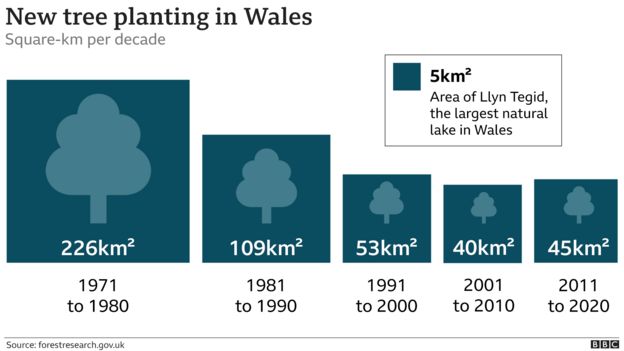 Climate change and Wales: Where we are in charts - BBC News