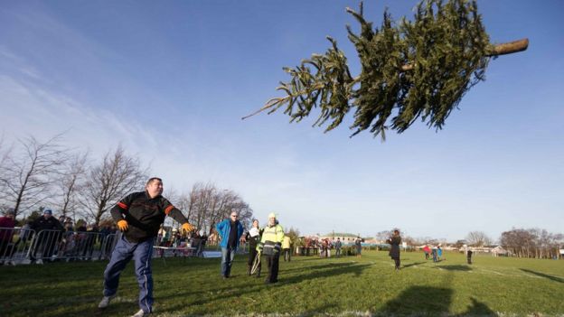 Christmas tree throwing contest held in Ireland - BBC News