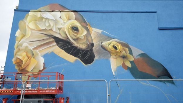 Street art spreads across town as Weston Wallz returns - BBC News