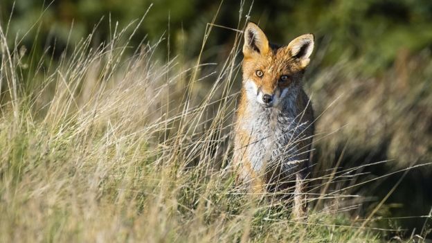 Your pictures of Scotland: 24 September - 1 October - BBC News